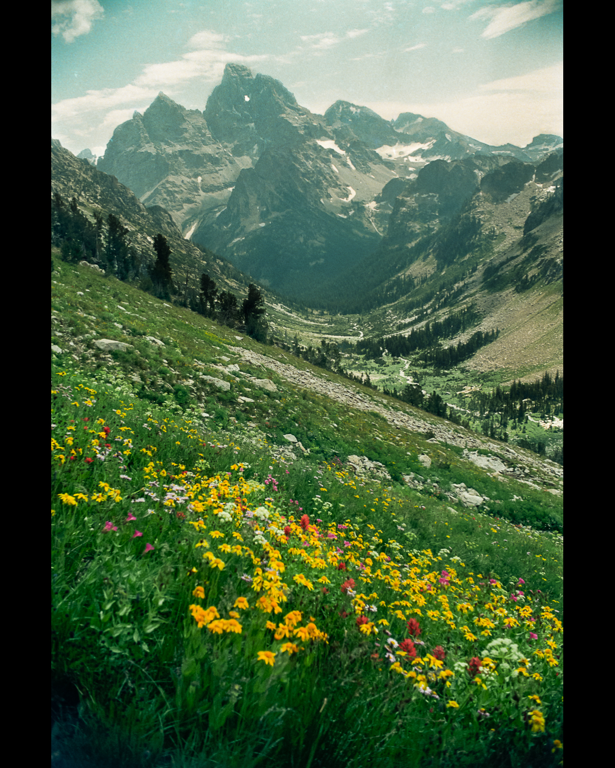 Feature Friday: Scott Thomason Photography - Sadie by Design