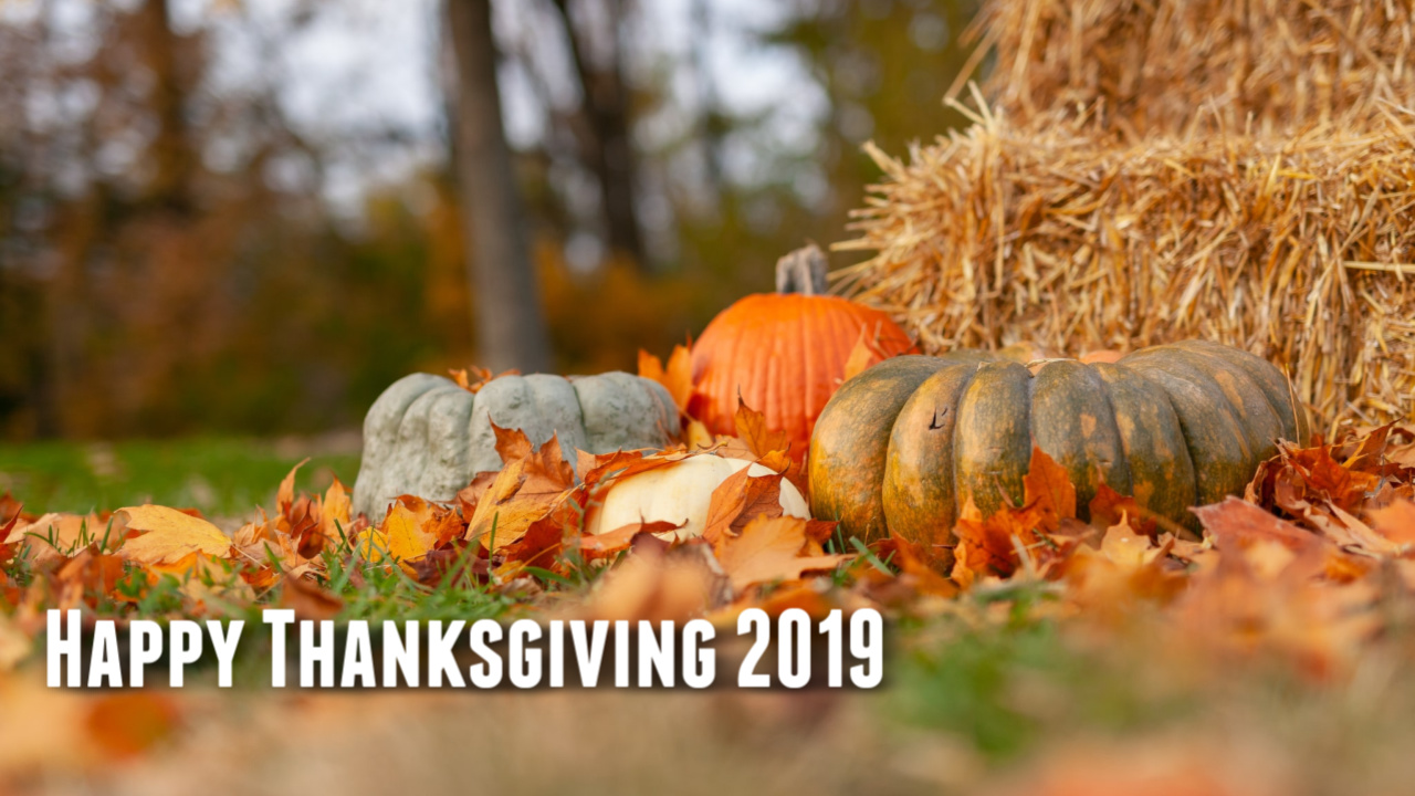 Thanksgiving 2019 - Sadie by Design